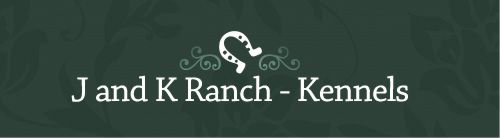 Team Building & Leadership Development in Houston, TX | J & K Ranch ...